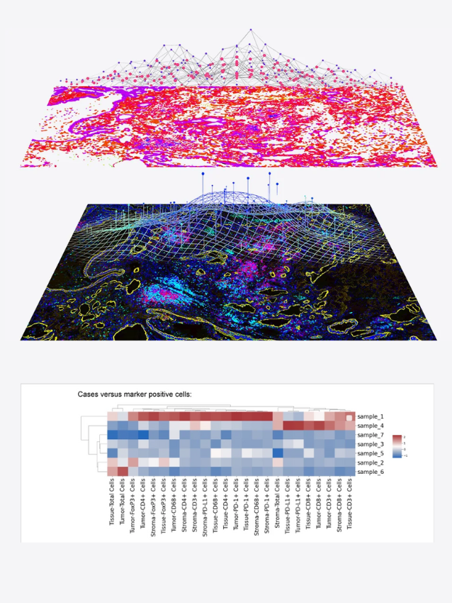 STARVUE™ spatial image analysis platform and services - Ultivue