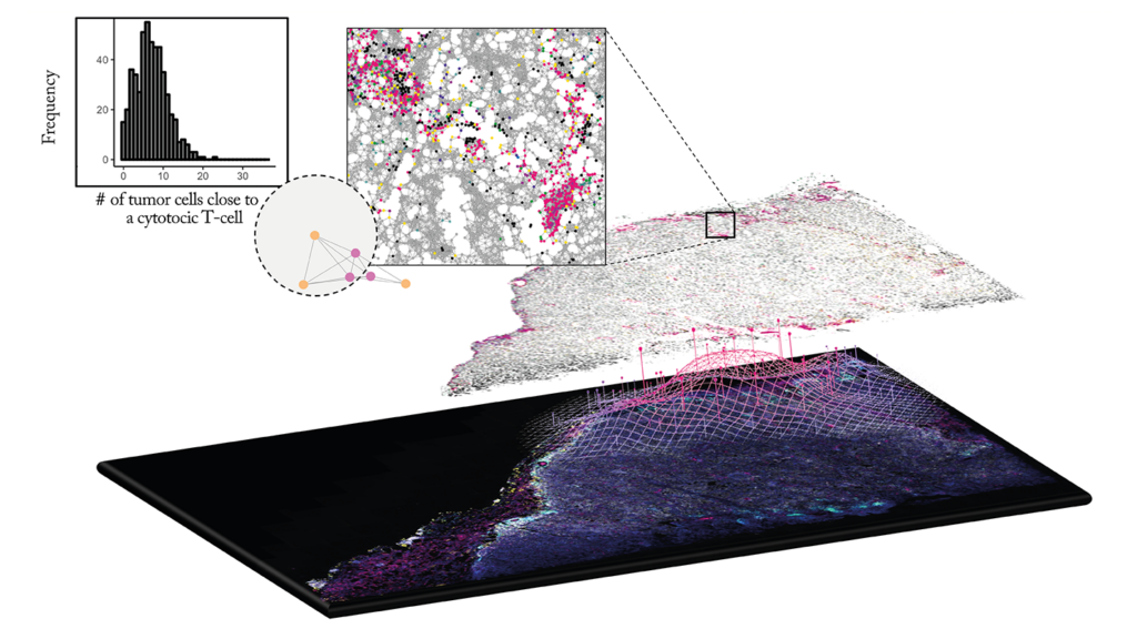 The Beginner's Guide to Spatial Image Data Science - Ultivue