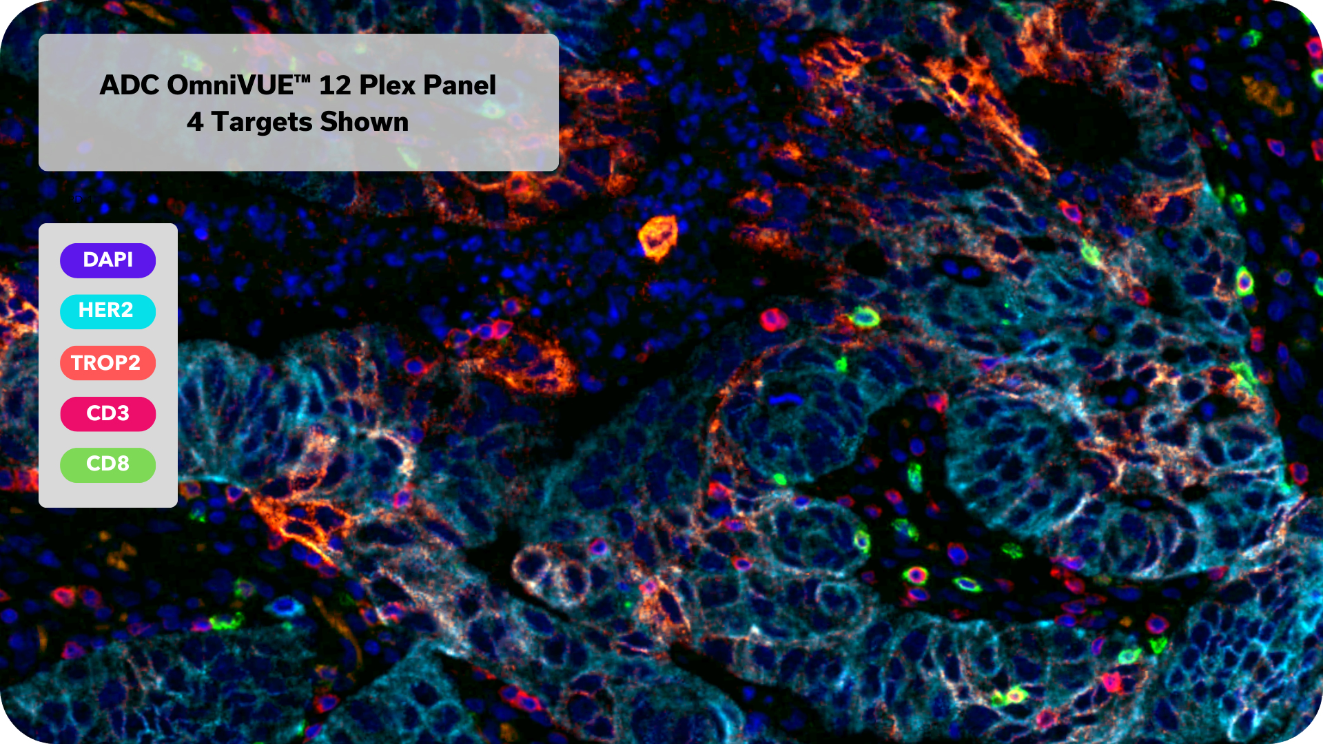 Fully configurable, ultra-sensitive OmniVUE™ biomarker panels | Ultivue